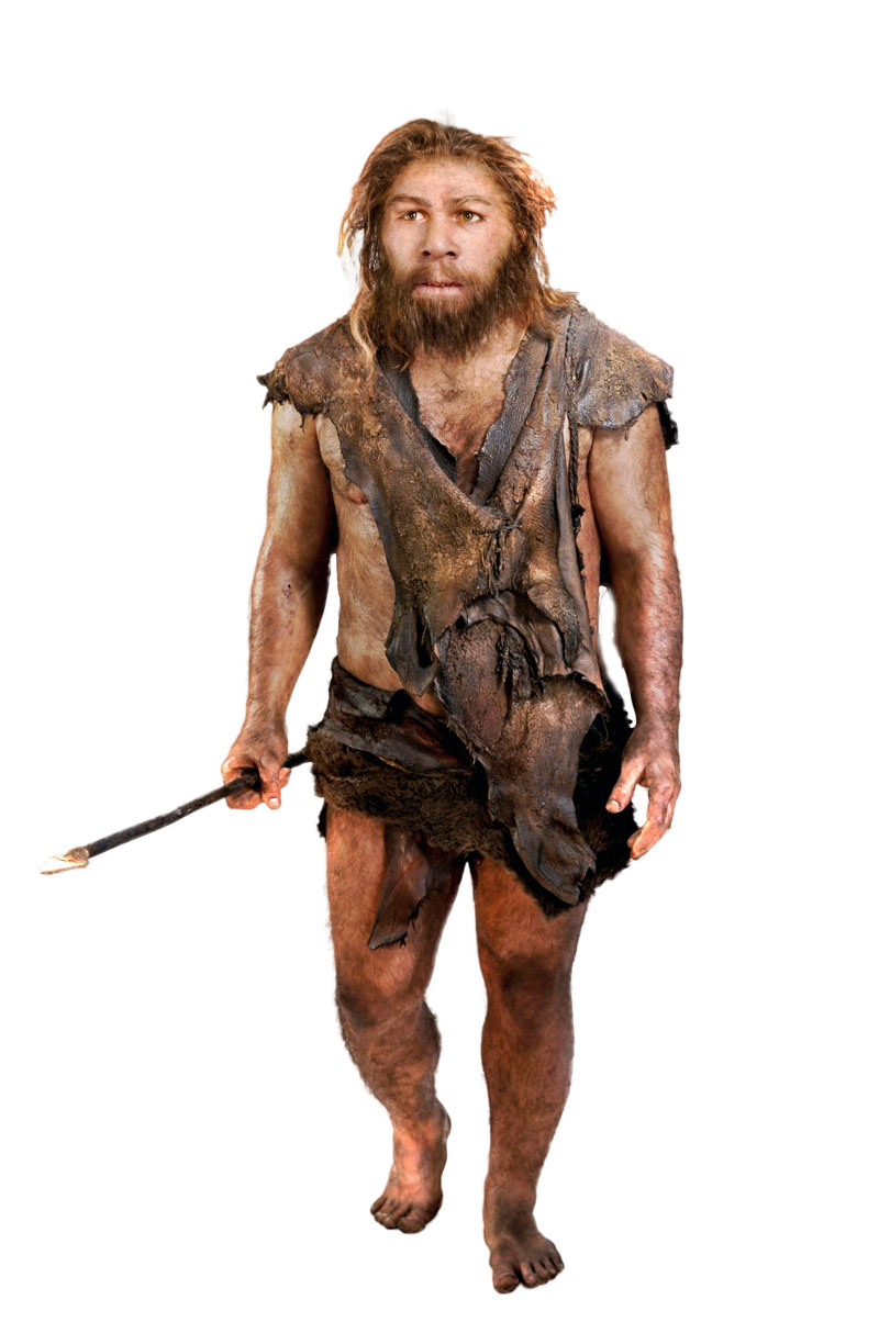 El Origen Del Humano Moderno Homo Sapiens Sapiens Bet - vrogue.co El Origen Del Humano Moderno Homo Sapiens Sapiens Bet - vrogue.co