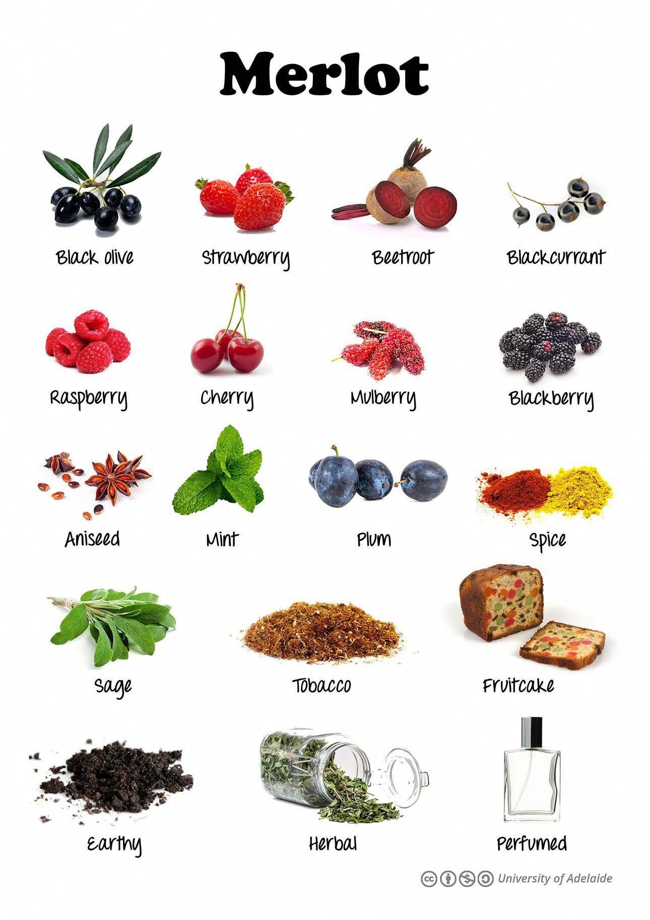 Wine Taste Chartmerlotadelaidex Edx Winepairings Wine Flavors Wine Recipes Wine Tasting