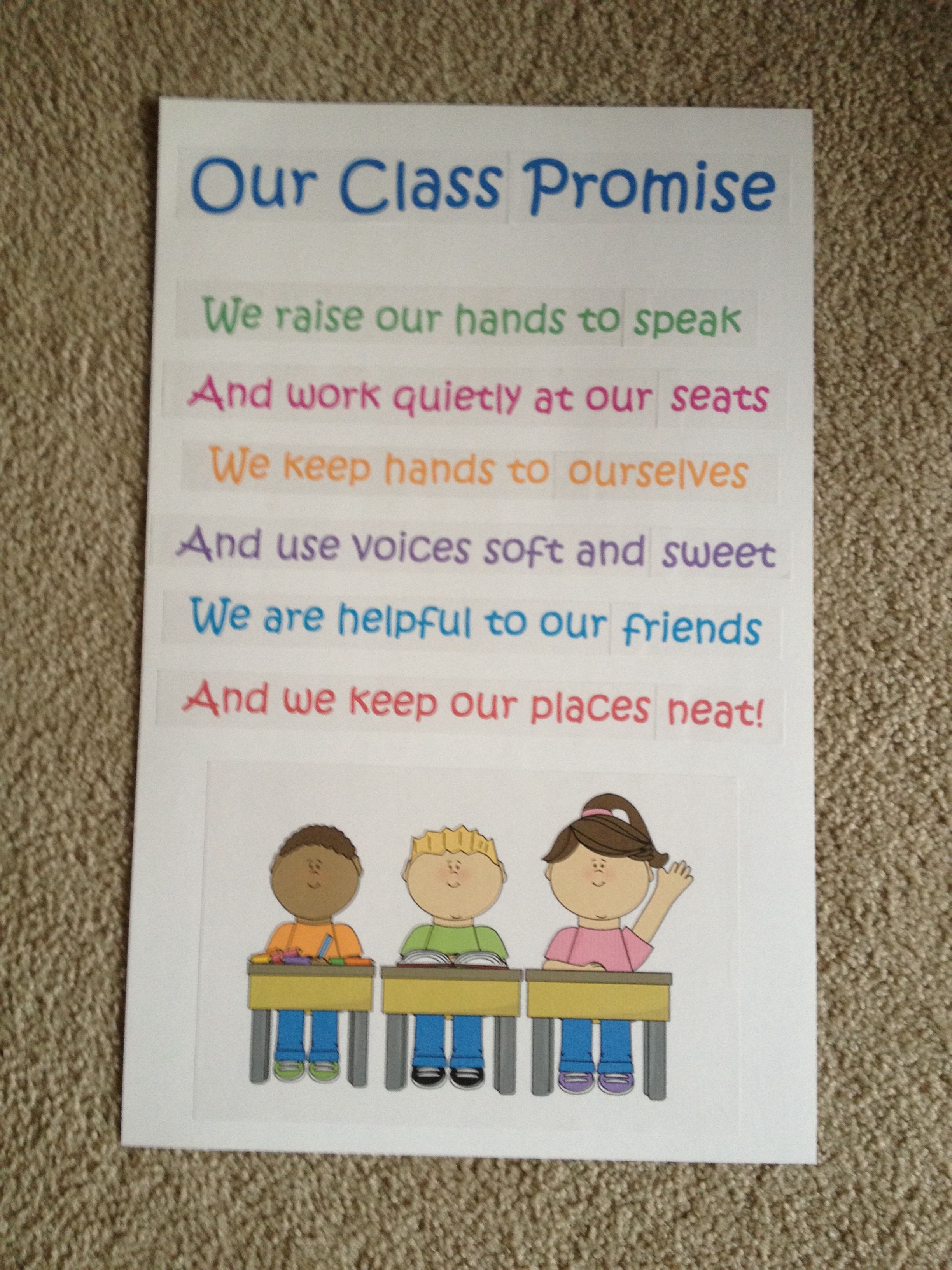 I Decided That For This Year I Wanted To Make A Class Promise Instead Of Rules Class Promise