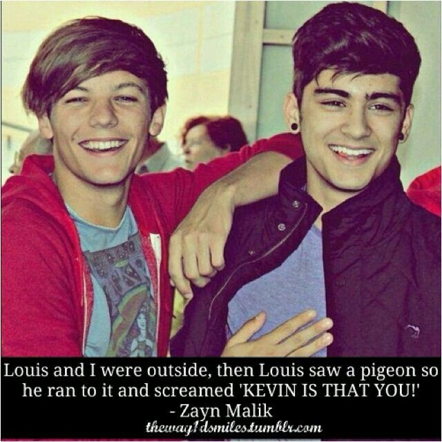 One Direction Cartoons One Direction Facts One Direction Louis One