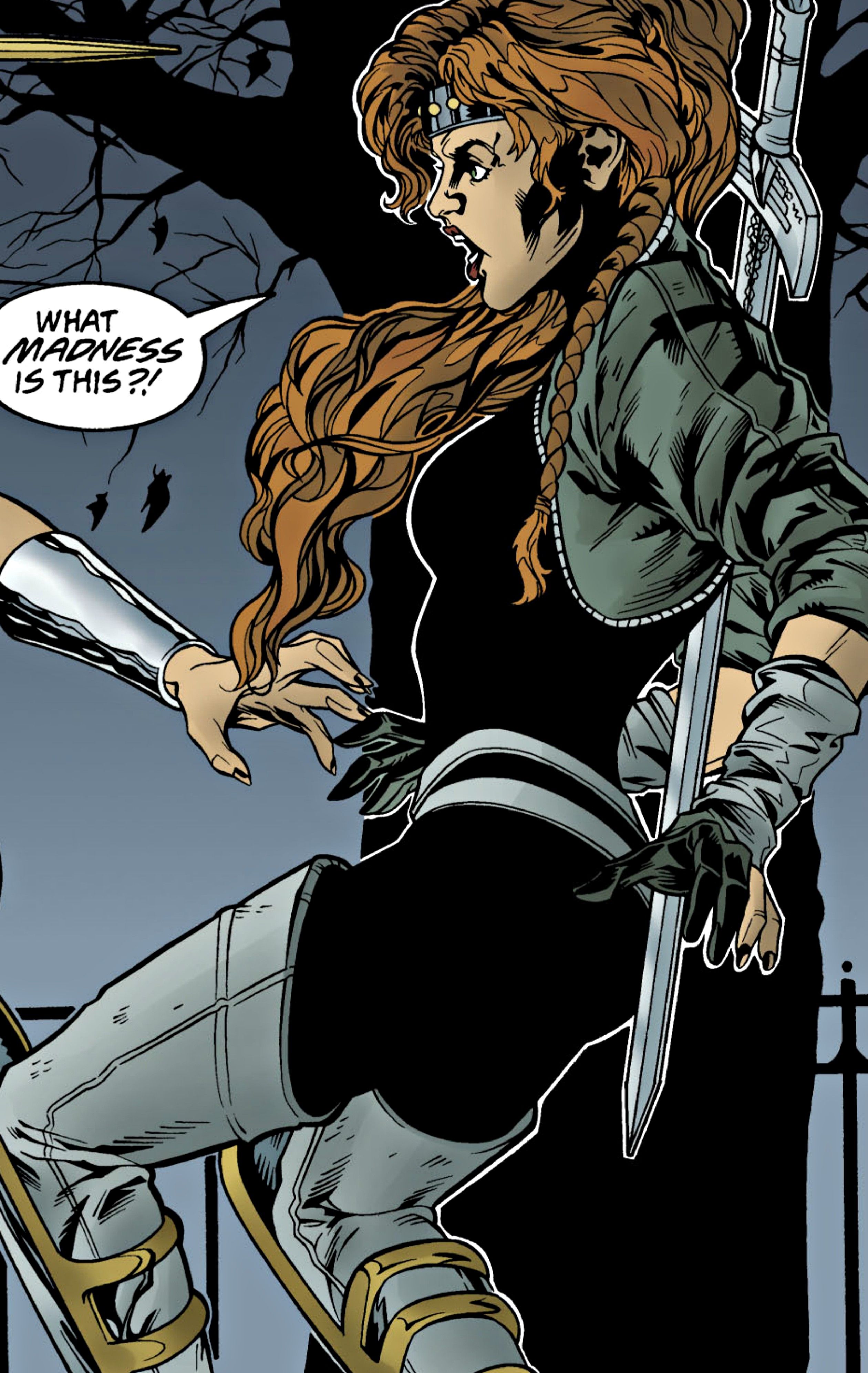 Artemis Crock Dc Comics Art Comic Art Webtoon Michelle Quick Pictures Cartoon Art
