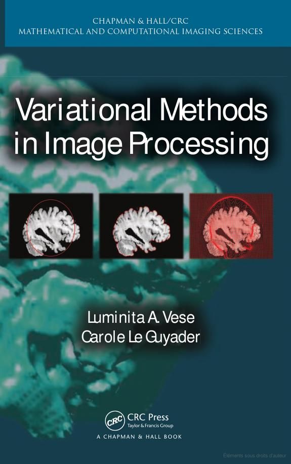 Variational Methods In Image Processing Method Image Processing Equations