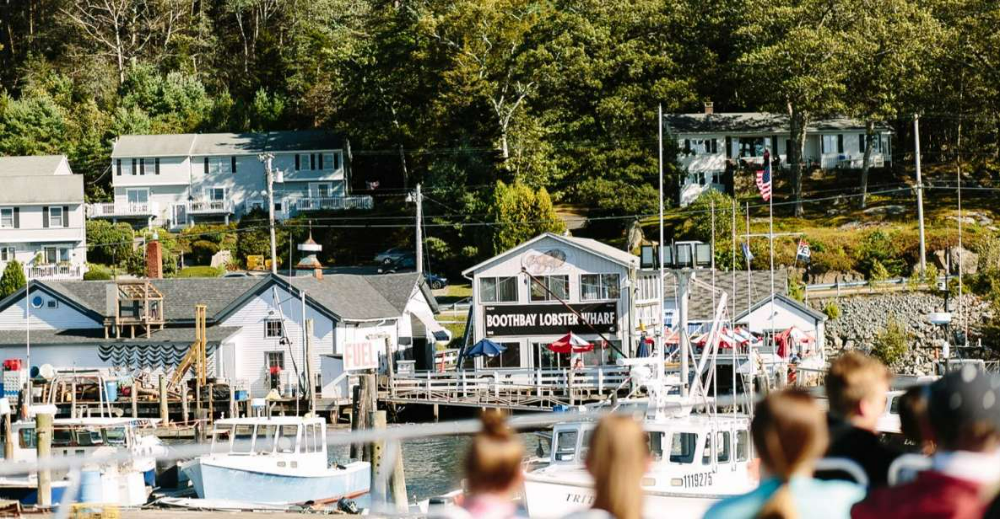 Boothbay Harbor Cruise: Lighthouses, Lobster Haul, and Seals | GetYourGuide Boothbay Harbor Cruise: Lighthouses, Lobster Haul, and Seals | GetYourGuide
