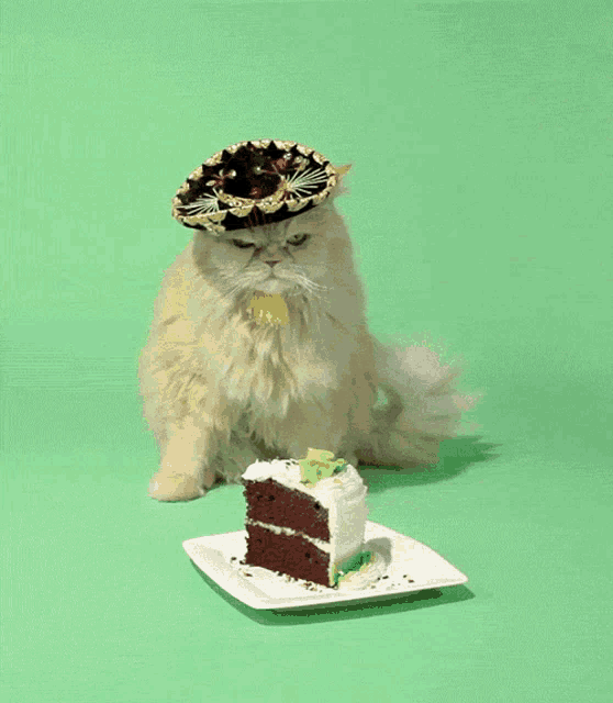Birthdaycat Cake Tenor Keyboard Bring Personality To Your Conversations Say More