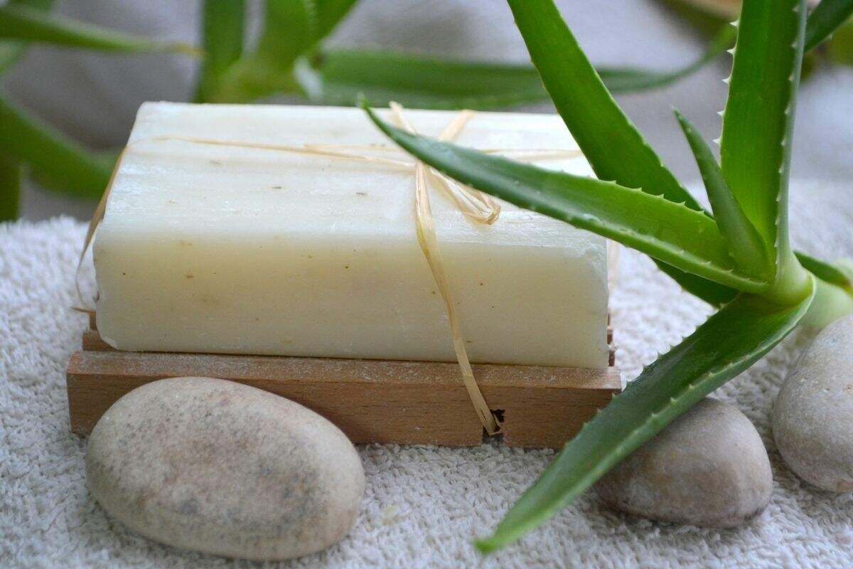 Como fazer sabonete de babosa: aprenda como produzir esse item em casa ... Como fazer sabonete de babosa: aprenda como produzir esse item em casa ...