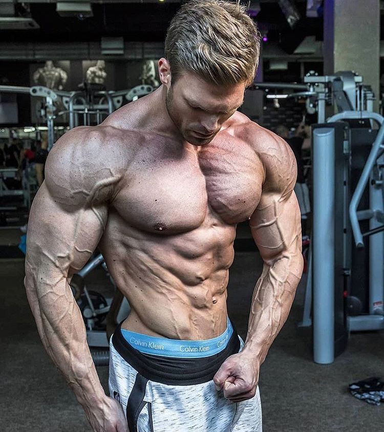 Pin By The Queen Of Shade On Robin Balogh Gym Rat Robin Male Physique