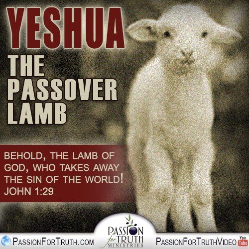 Jesus Our Passover Lamb