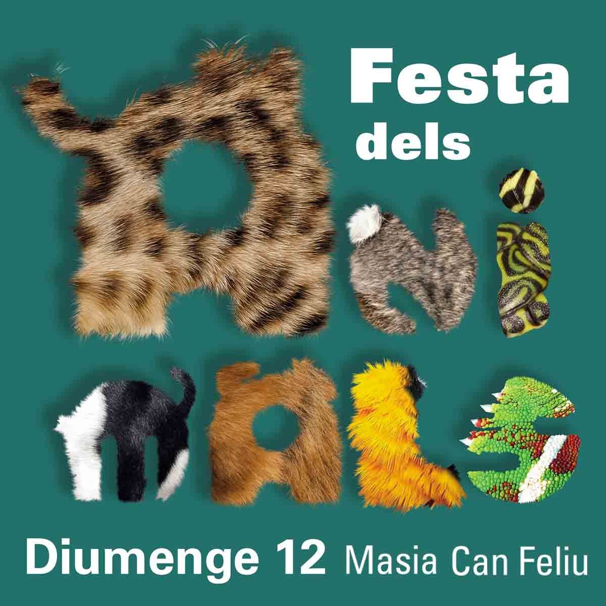 II Festa dels Animals de Sant Quirze del Vallès | 12 de febrer 2017 II Festa dels Animals de Sant Quirze del Vallès | 12 de febrer 2017
