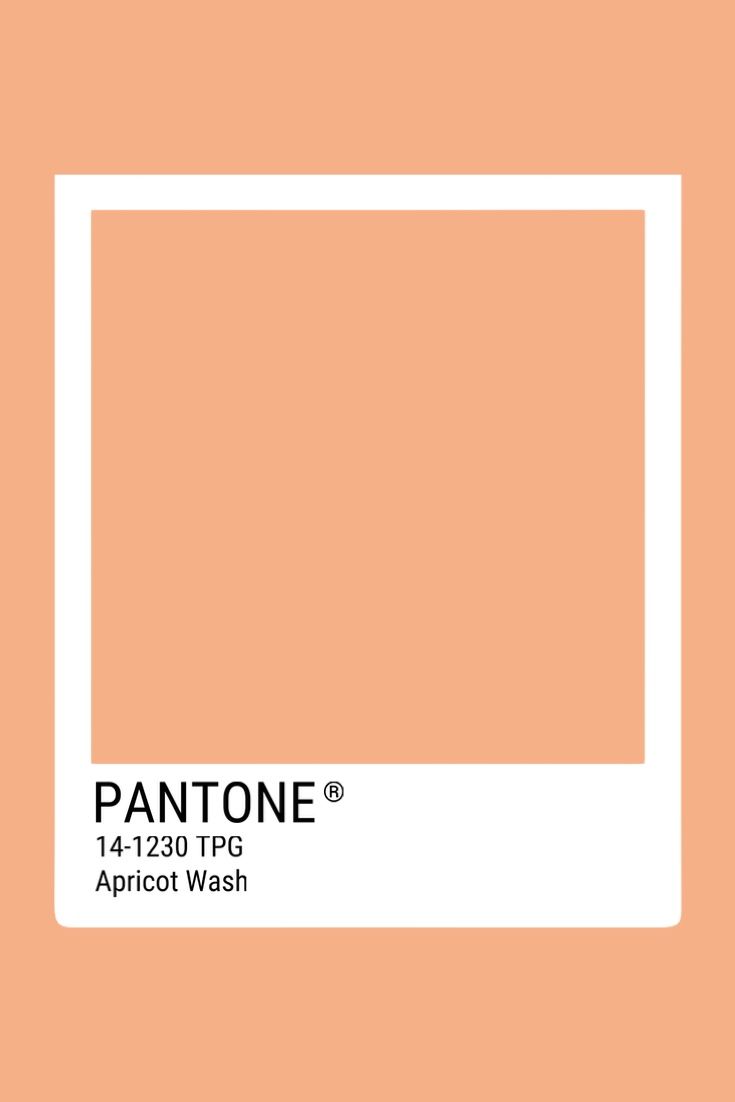 14 1230 Tpg Pantone Colour Pantone Color Papaya Apricot Peach