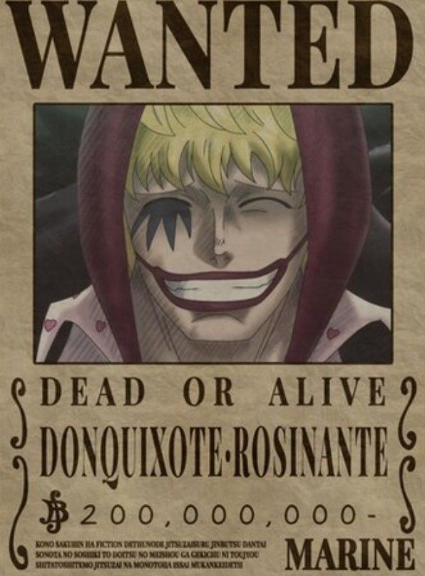 One Piece Wanted Posters Nami Displate Artwork By Artist Nicolas Hot Sex Picture