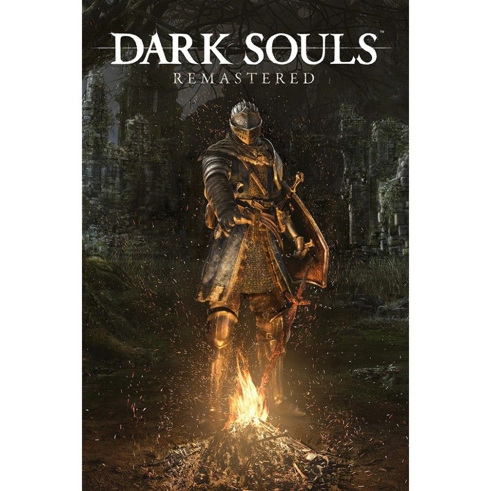Dark Souls Remastered Game Poster Dark Souls Posters Art Prints