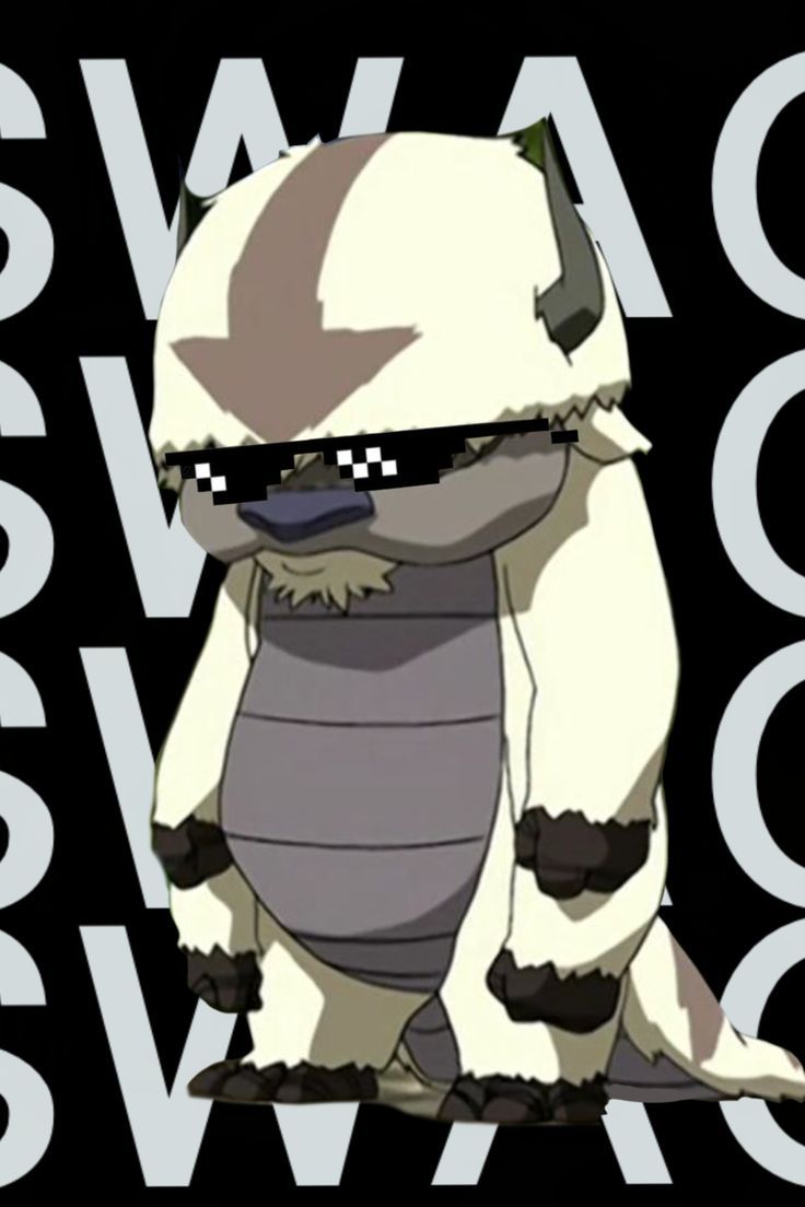 Appa Avatar Appa With Appa Avatar Meme Appa Avatar Cute Justice League Funny Appa Avatar