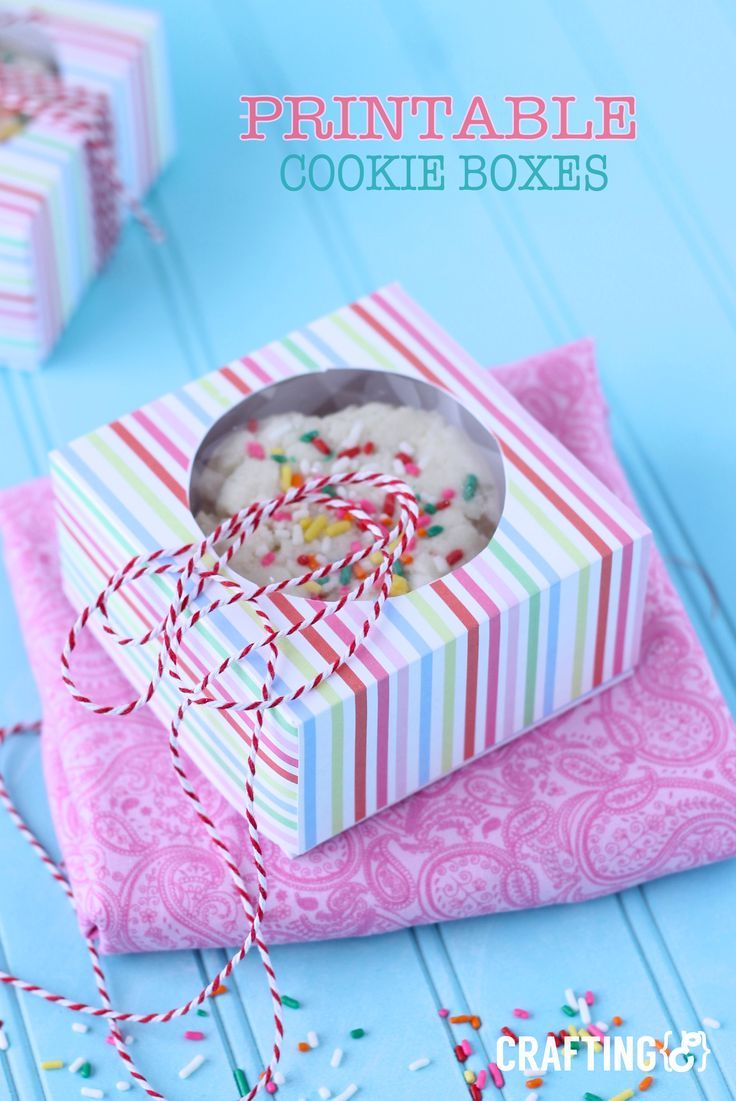 Pin Su Teacher T Guide