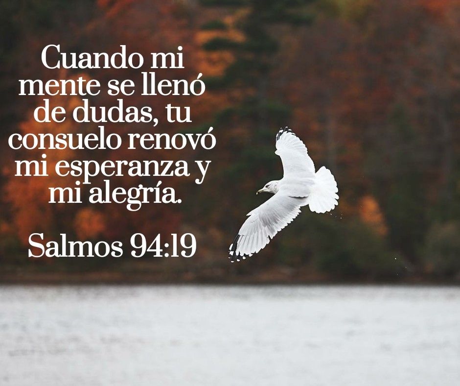 Descubrir 79+ imagen frases de consuelo de dios - Abzlocal.mx Descubrir 79+ imagen frases de consuelo de dios - Abzlocal.mx