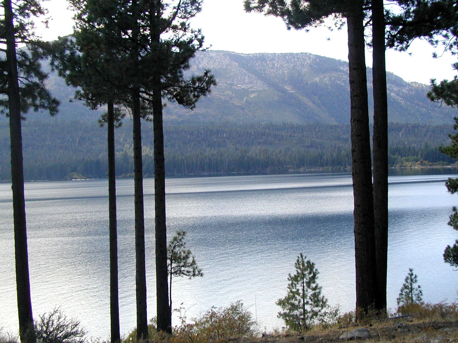 Fallen Leaf Lake Trail Near Lake Tahoe California Lake Tahoe Tahoe Travel