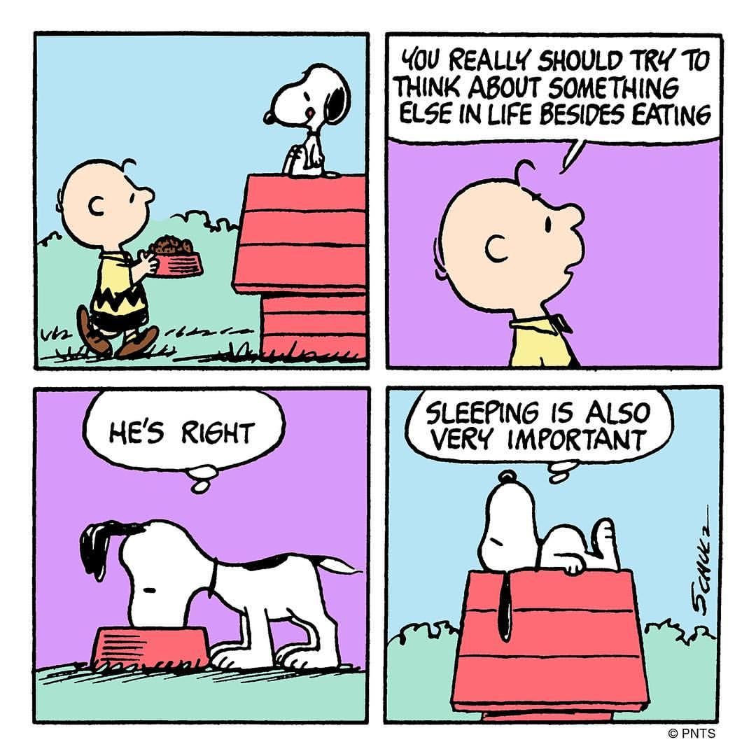48 8k Likes 2 258 Comments Snoopy And The Peanuts Gang Snoopygrams