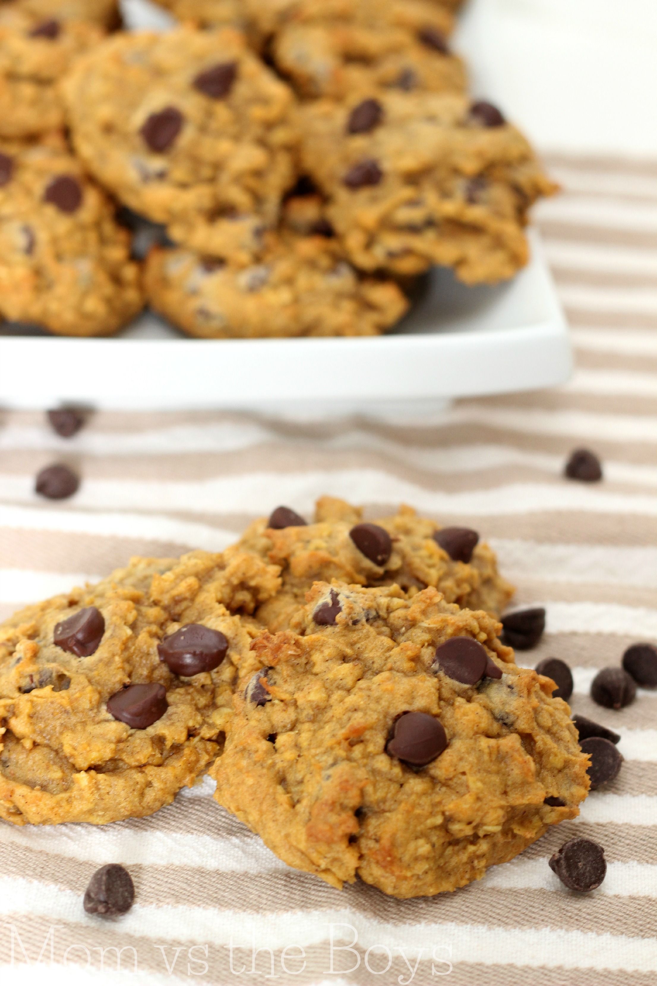 Quaker Oatmeal Chocolate Chip Cookie Recipe Bryont Blog