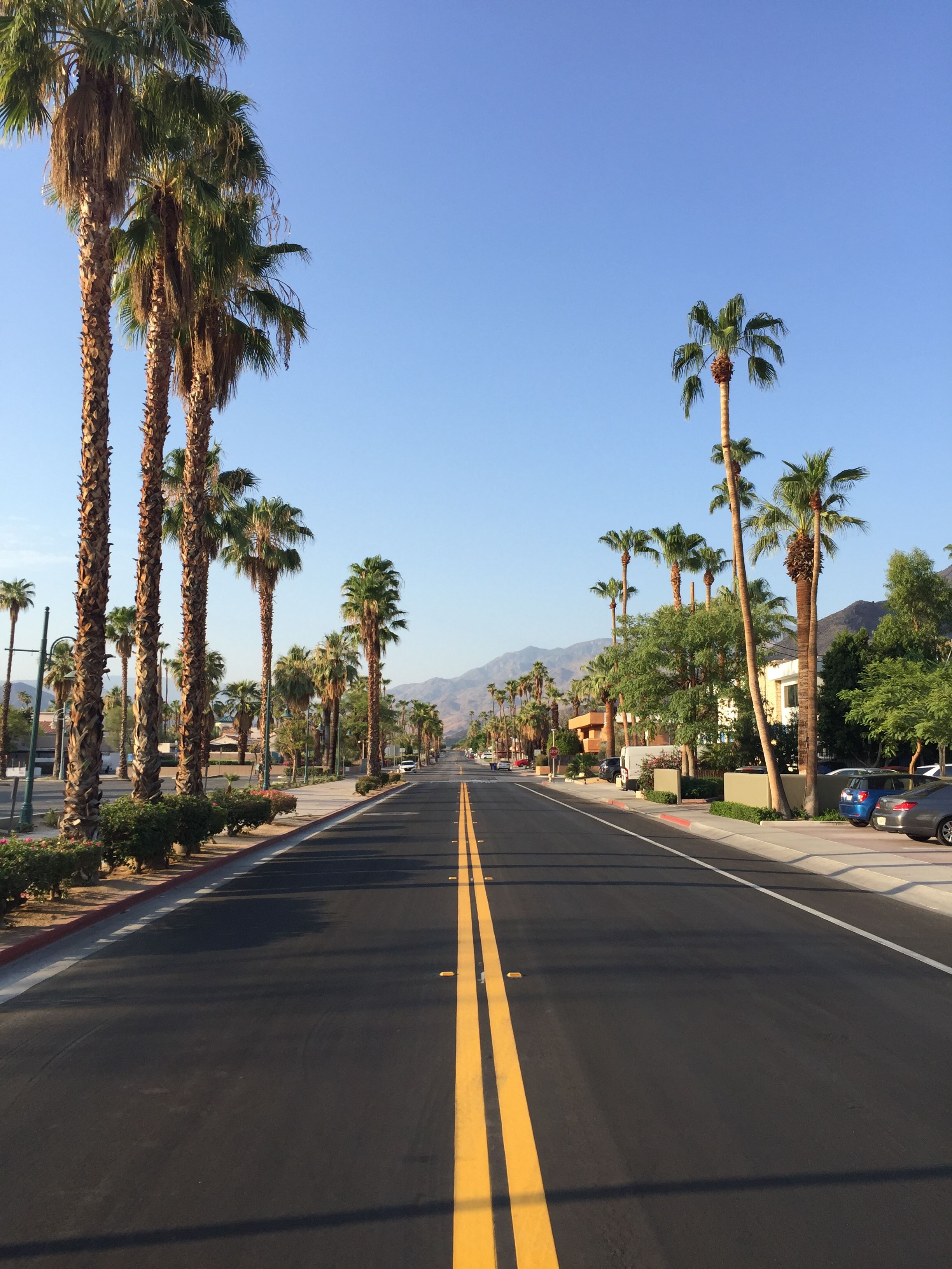 Palm Springs California Dreaming California Travel Palm Springs