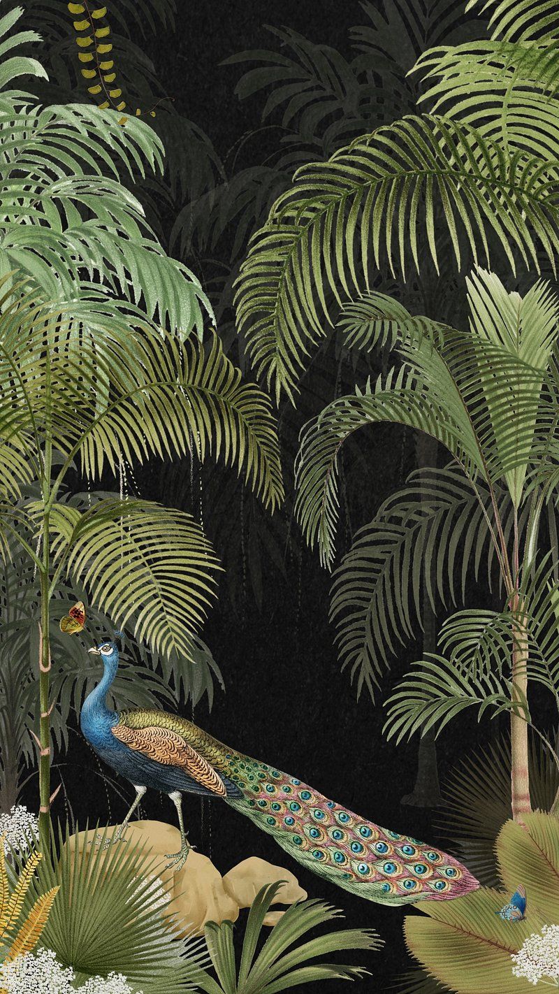 Tropical Peacock Pattern Mobile Wallpaper Premium Photo Illustration