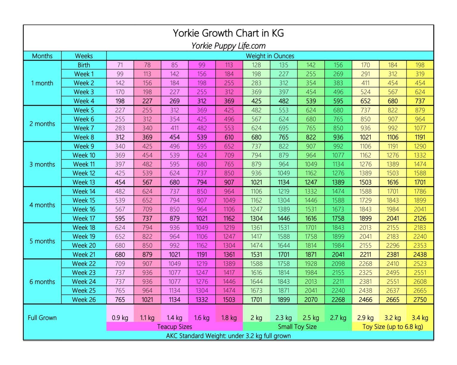Yorkshire Terrier Growth Chart How Big Will Your Yorkie Get Artofit