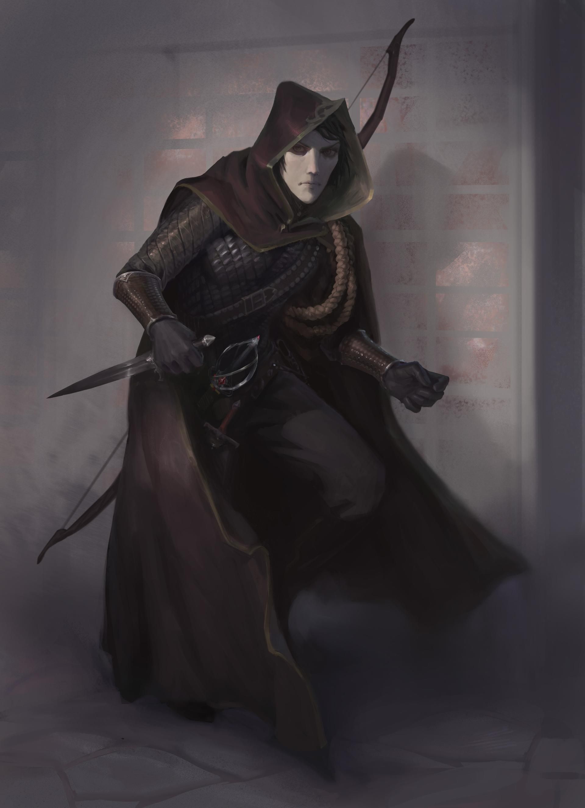 M Rogue Thief Leather Armor Cloak Longbow Dagger 1 Rogue Dnd