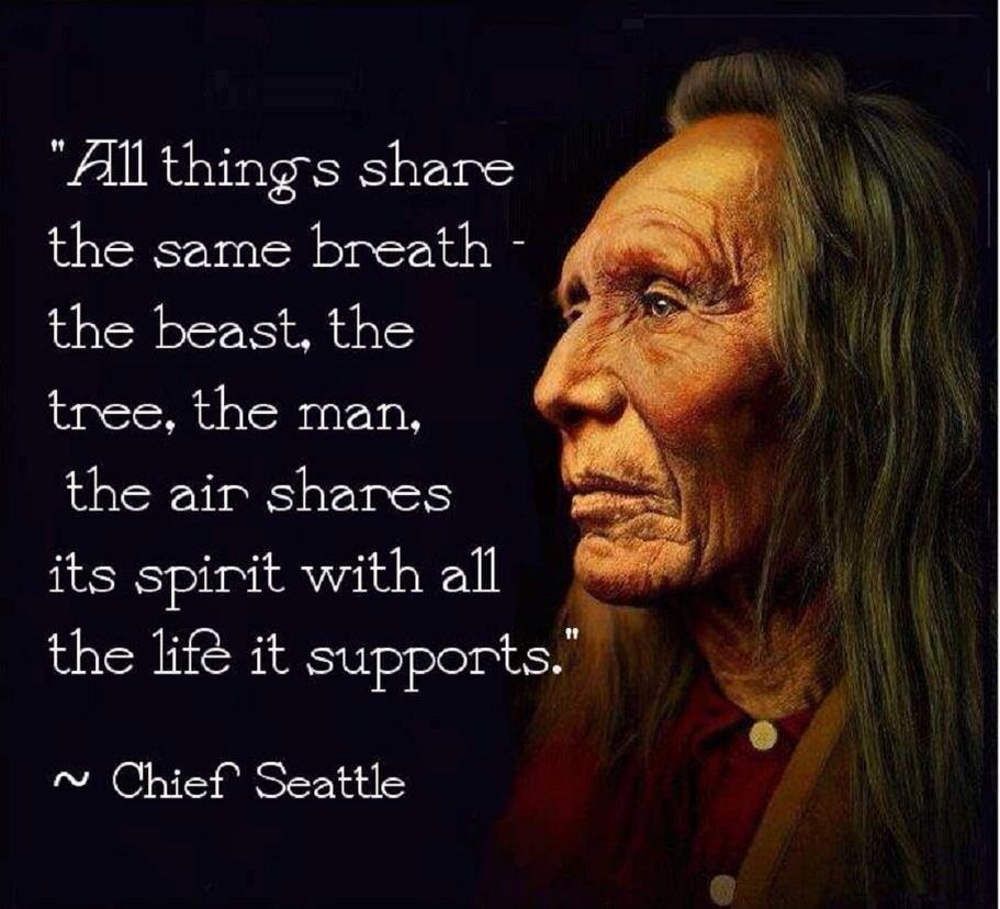 Facebook American Indian Quotes American Quotes Native American Quotes