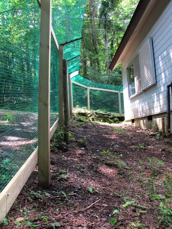 Cat Fencing And Catio Ideas Secured Cat Garden Design Cat Fence Cat