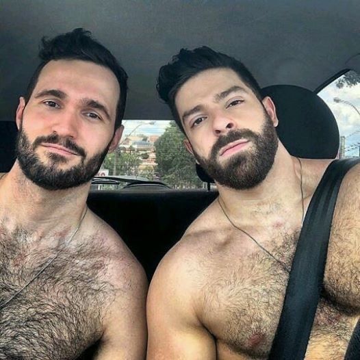 Pin By Ernie Taylor On Couples Hairy Men Hairy Muscle Men Hairy
