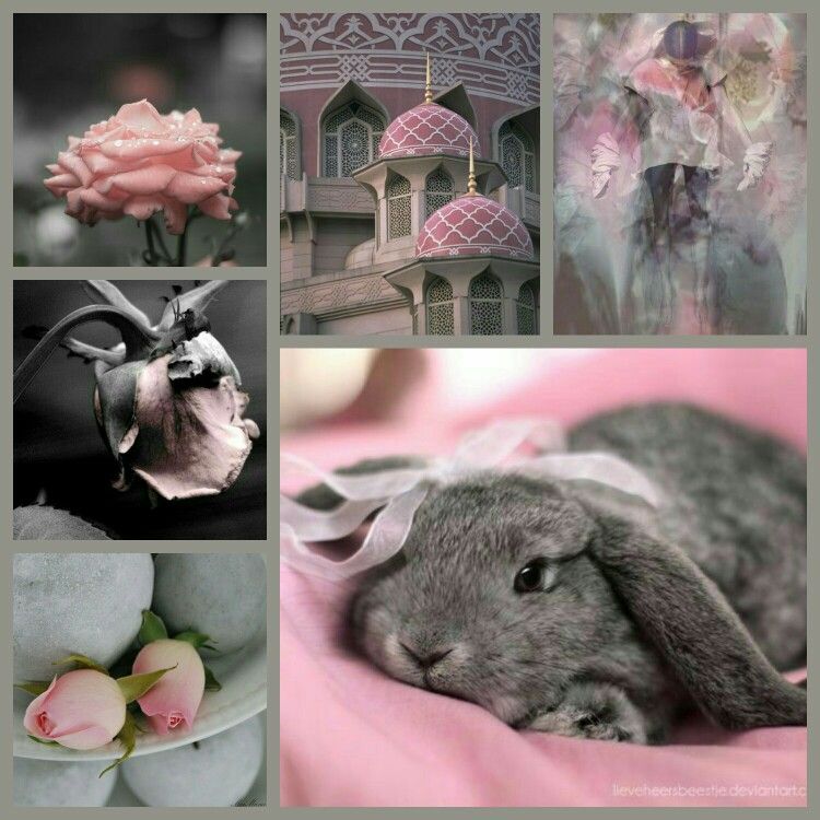 ☮ ° ♥ ˚ℒℴѵℯ Cjf Color Collage Beautiful Collage Color Splash