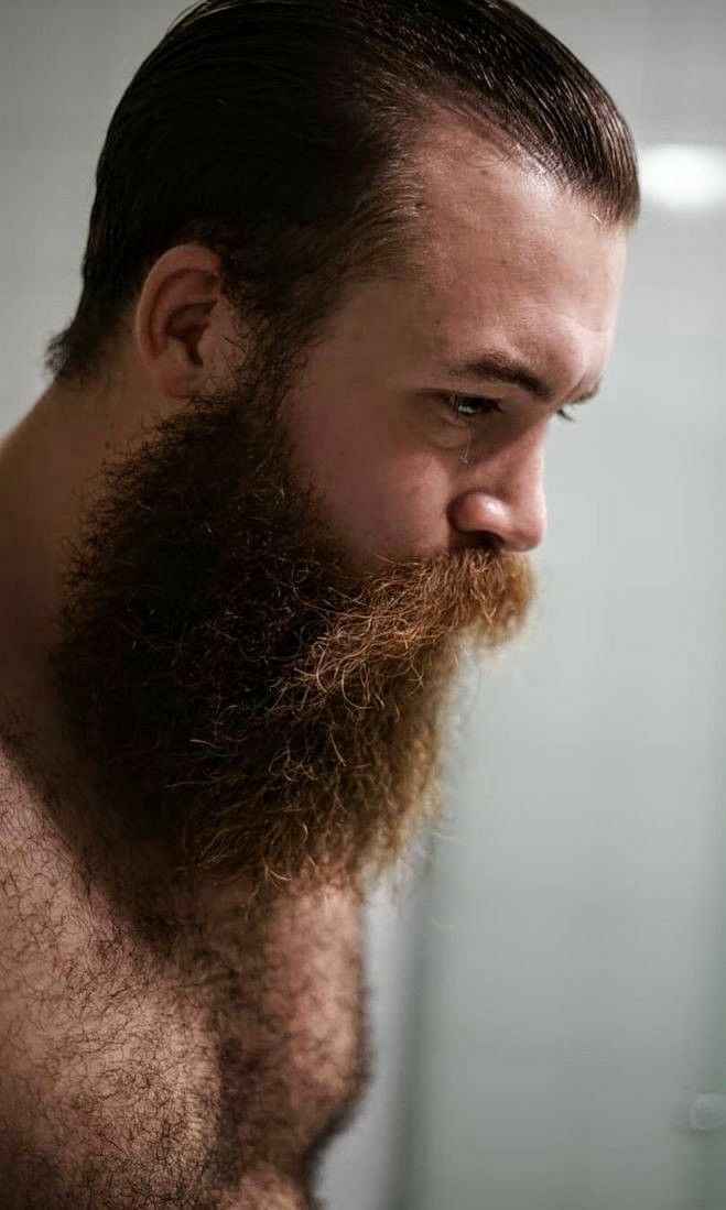 Hairy Men Bearded Men Hair And Beard Styles Hair Styles Ginger