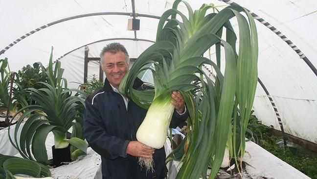 Grandads Giant Leek Is Record Breaker Giant Vegetable Leeks Plants
