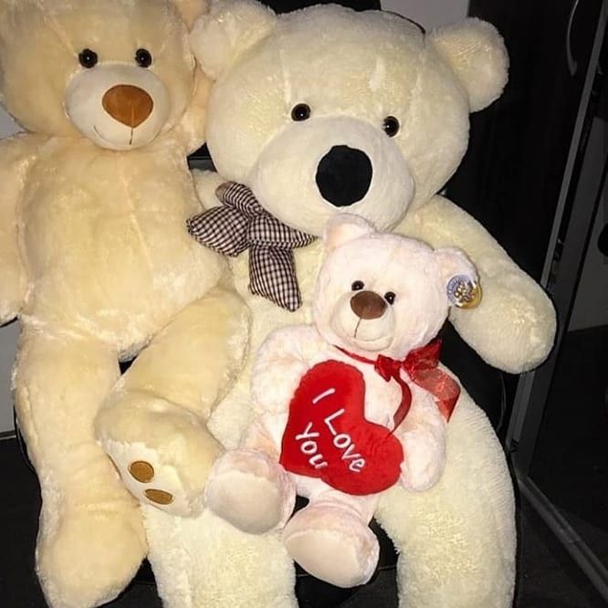 Pin By نازیہ صدیقی On Teddy Love Costco Bear Teddy Teddy Bear