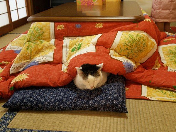 Keunikan Kotatsu Meja Penghangat Khas Jepang Untuk Musim Dingin Artofit