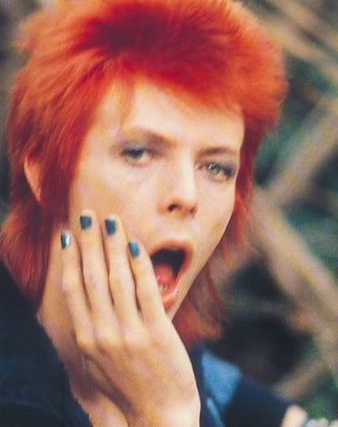 Glam Rock, Space Oddity, New Wave, Punk, Heavy Metal, David Bowie ... Glam Rock, Space Oddity, New Wave, Punk, Heavy Metal, David Bowie ...