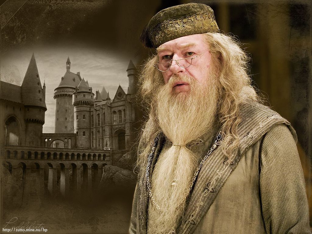 For The Inductee From The Fictional Character Wing Of The Hall We Have Dumbledore He Was A