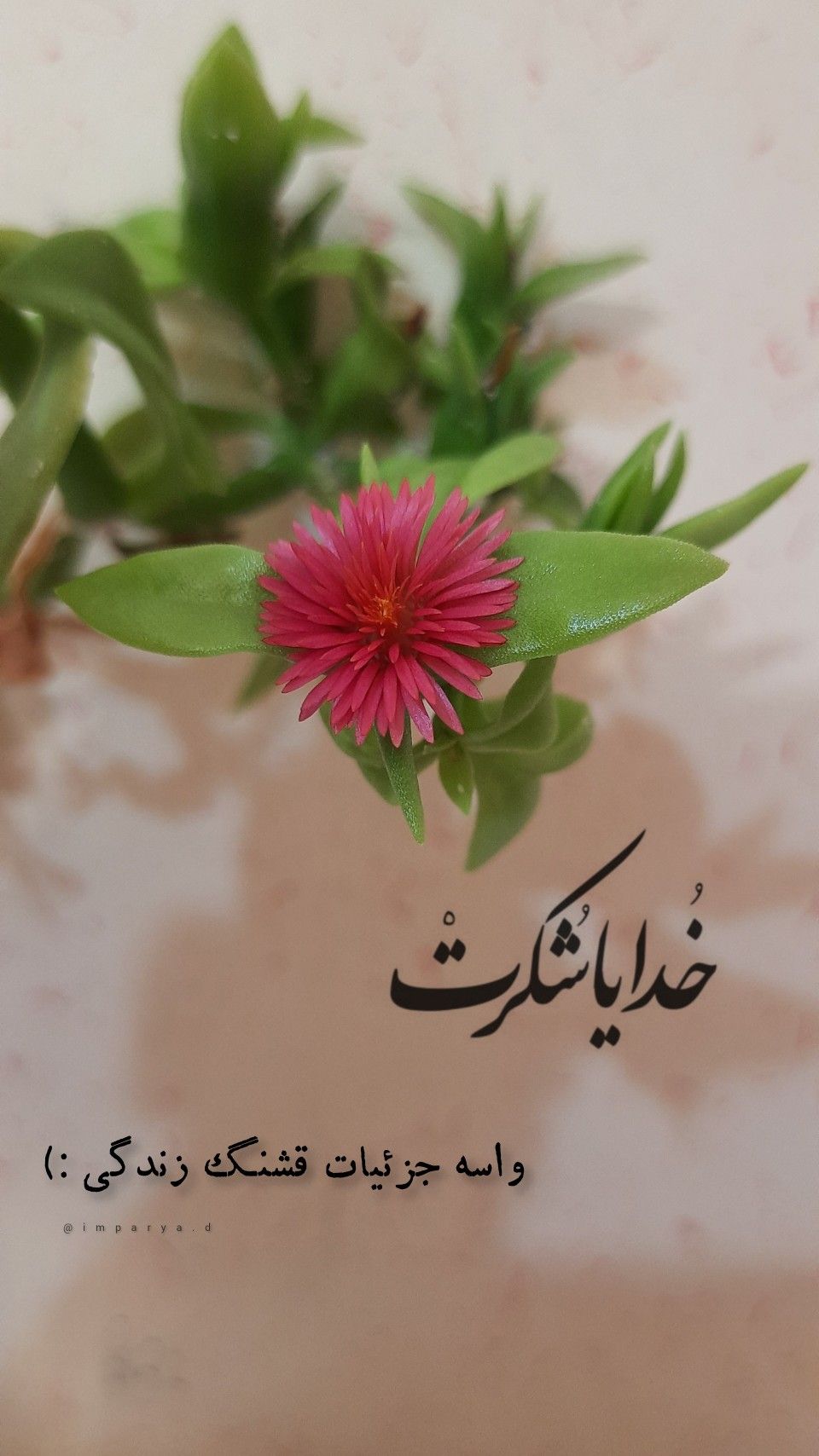 استوری صبح بخیر روز بخیر ایده استوریگلعکس نوشتهروزمرگیخداشکرگذاریاللهعکاسی تایپوگرافی