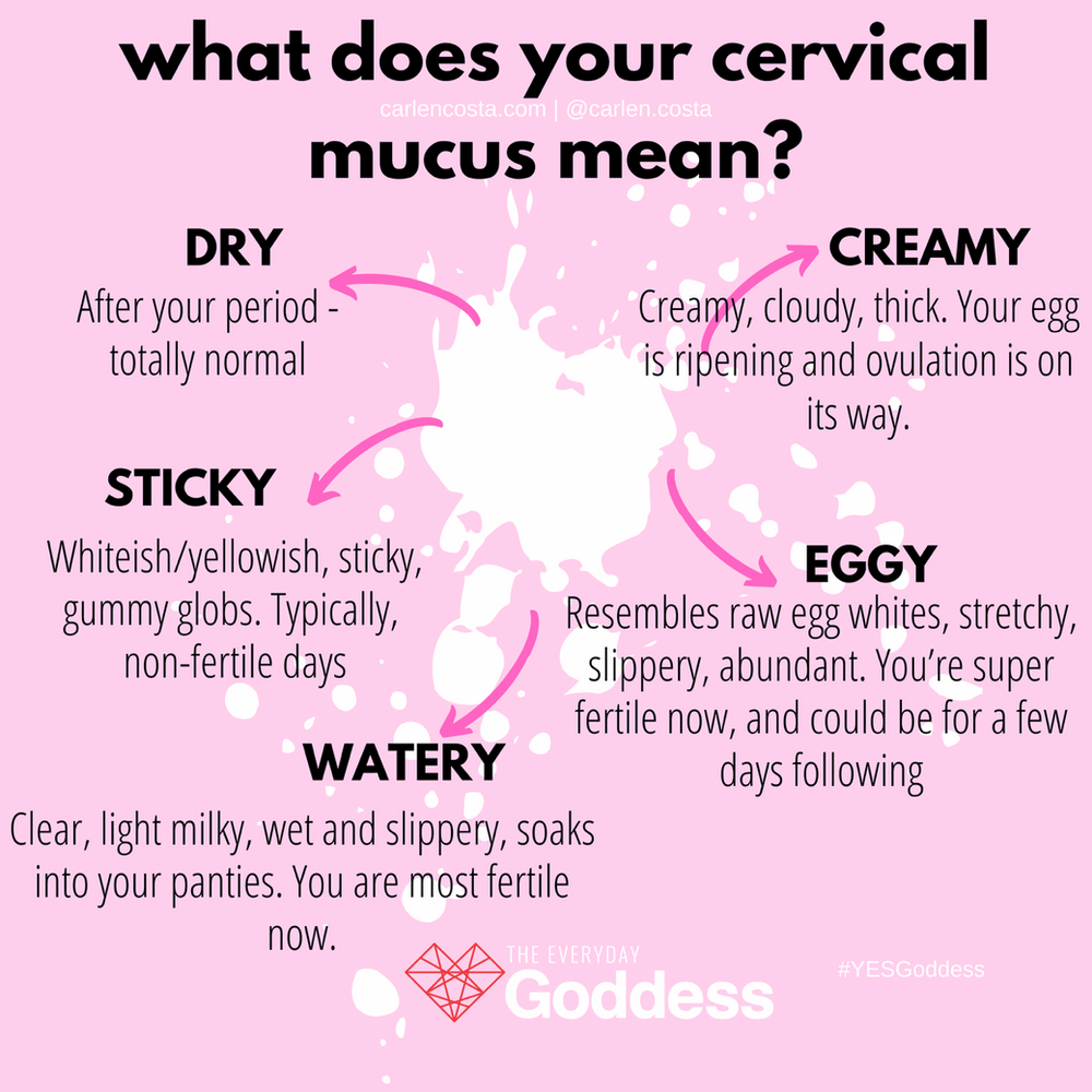 Fertility Health Vaginal Health Hormone Health Fertility Boost