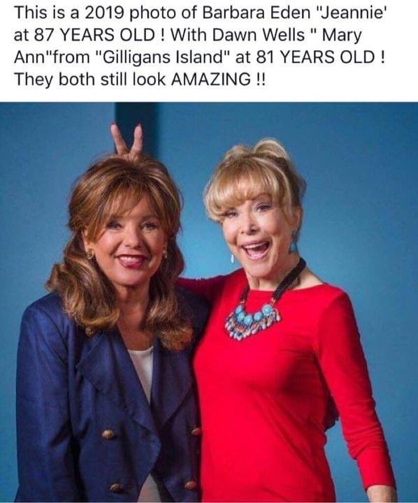 Pin On Early Crushes I Dream Of Jeannie Barbara Eden Mary Ann And Ginger