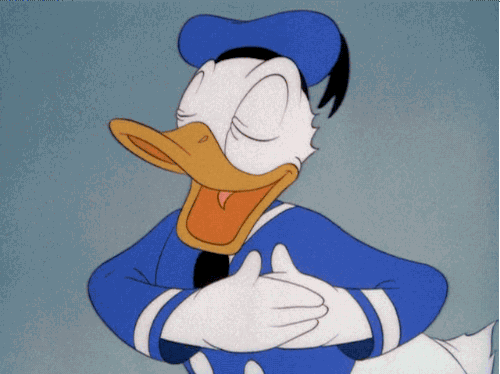 Donald Duck From The Disney Animated Movie
