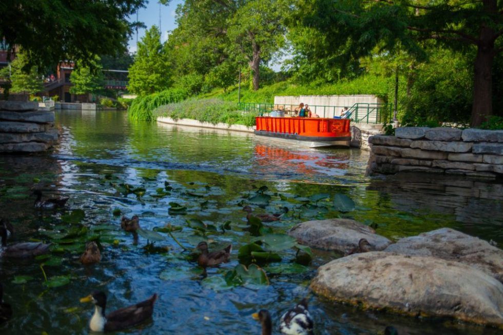 Unique Things To Do In San Antonio My Curly Adventures Artofit