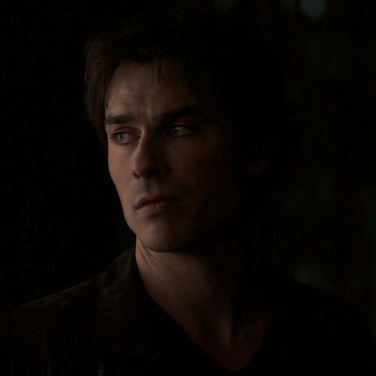 Damon Salvatore Ian Somerhalder Vampire Diaries Damon Salvatore Vampire Diaries Karen Page