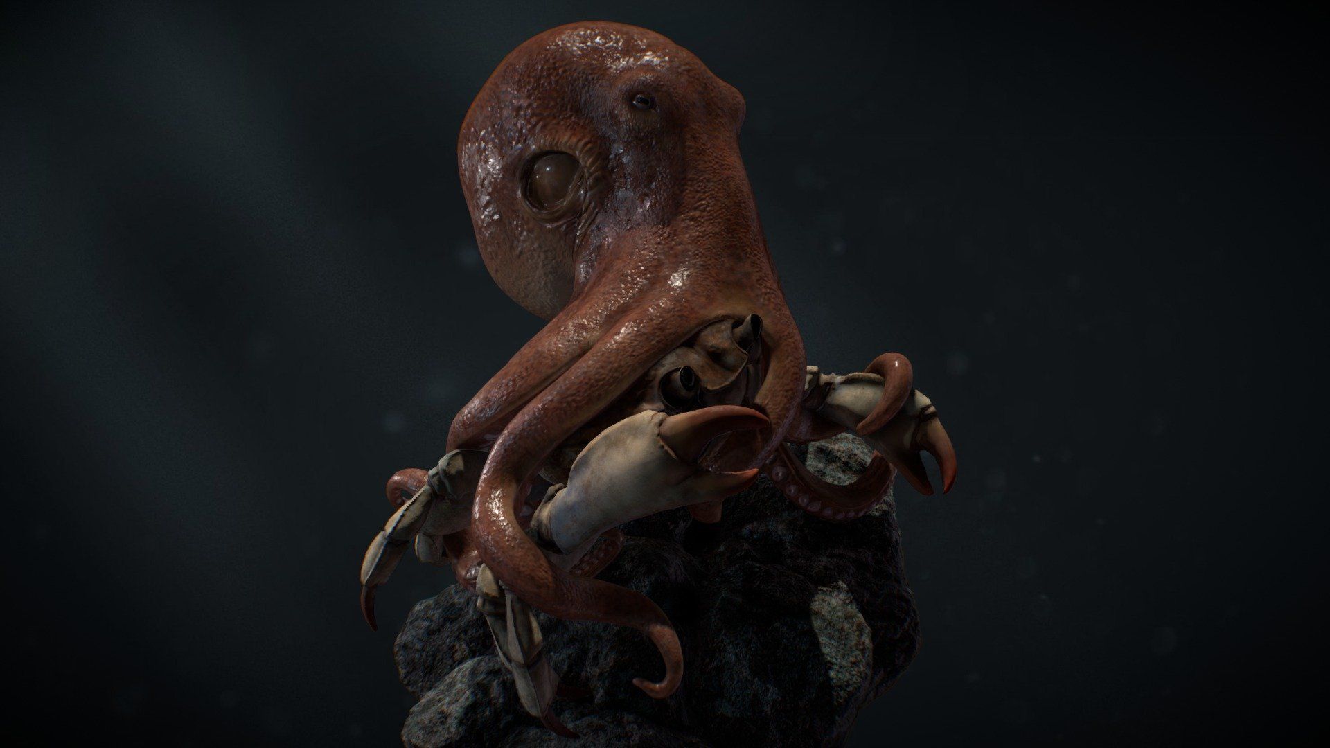 Crab Vs Octopus An Underwater Showdown