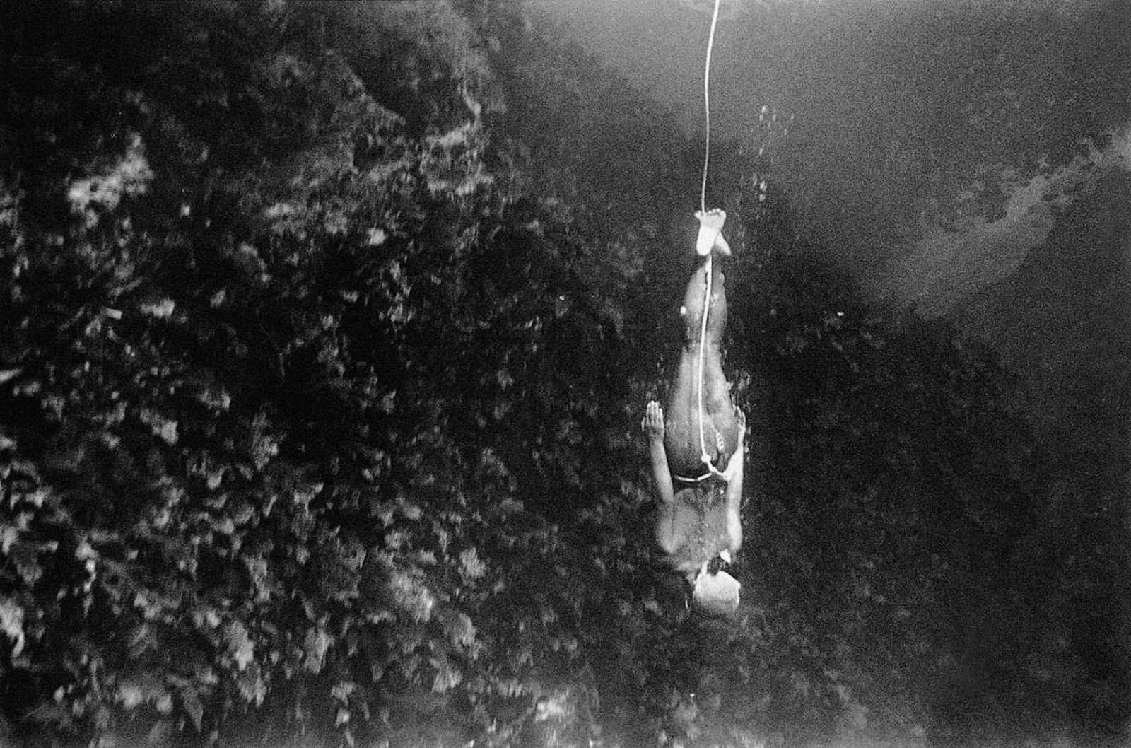 Pearl Diver In Japan Sea Of Japan Japan Ama