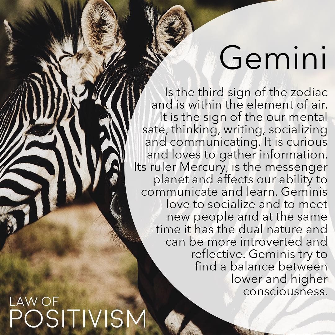 The Zodiac Consists Of 12 Separate Signs And Houses And Planets In