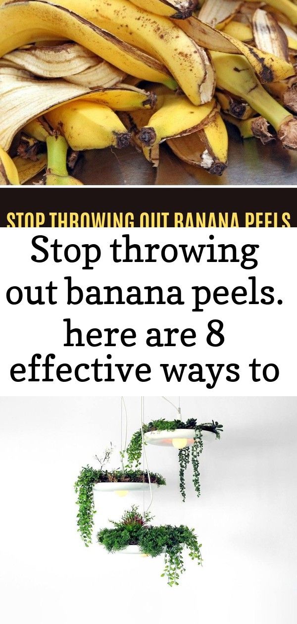 Stop Throwing Out Banana Peels Here Are 8 Effective Ways To Use Them