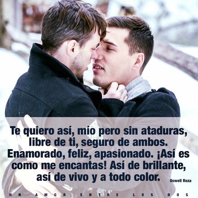 Pin En Frases Gay