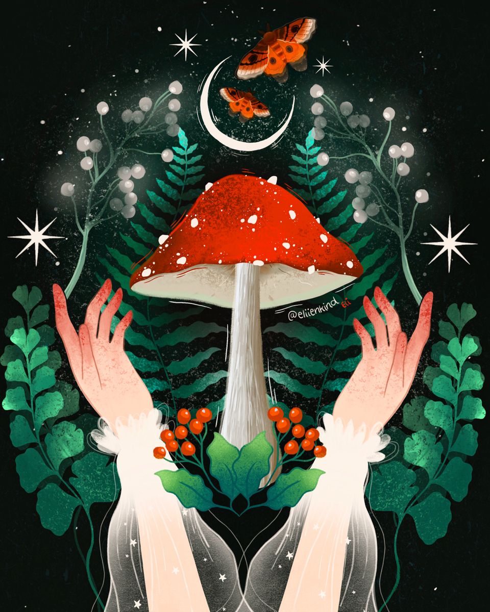 Eliienkind Quirky Art Mushroom Art Illustration Artists