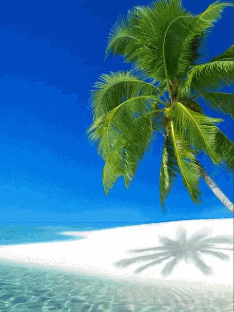 Vacation Beautiful Landscapes Beautiful Places To Travel Beautiful Beaches