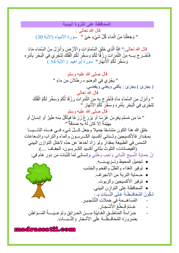 Protect The Environment My School Site