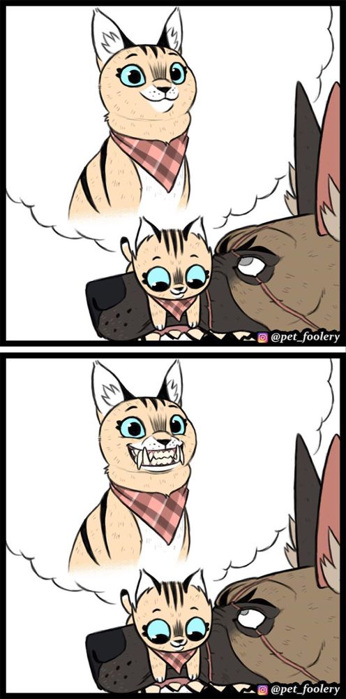 8 New Pixie And Brutus Comics To Brighten Up Your Day Artofit
